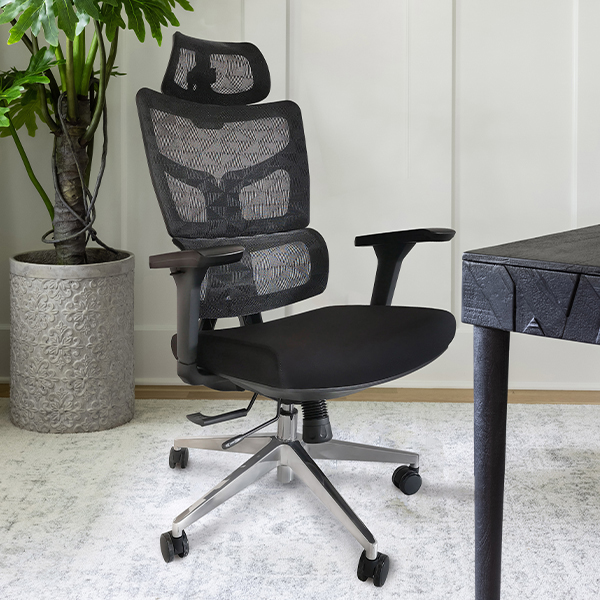 EChair at Walter E. Smithe Furniture & Design